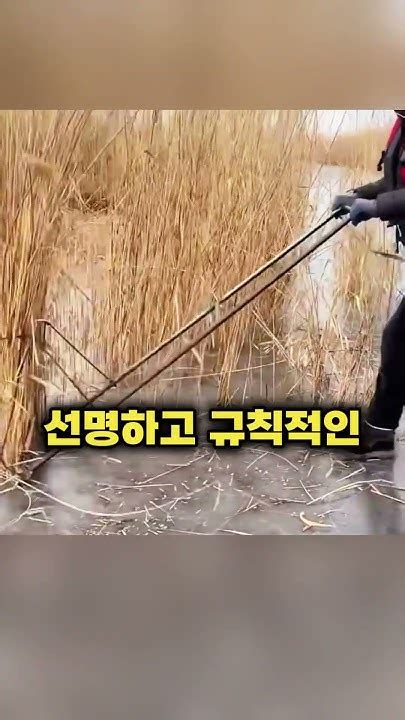 낫을 효율성을 고민하던 남자는 놀라운 아이디어를 제공합니다 Youtube