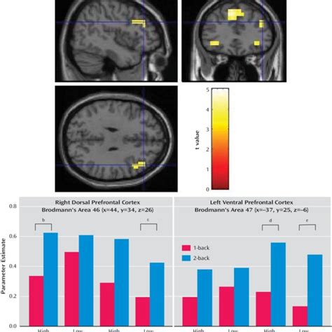 Prefrontal Cortex Regions Identified From The Working Memory Executive