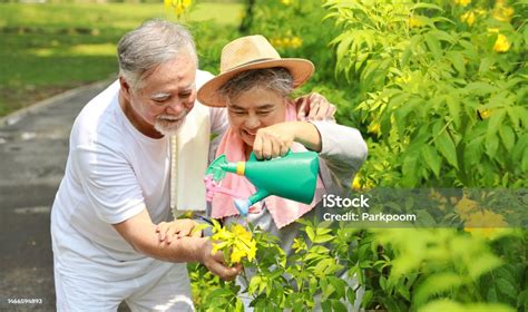 아시아 노부부는 은퇴 후 화창한 날에 웃고 웃으며 꽃 식물에 물을 주면서 정원 뒤뜰에서 포옹하고 시간을 보냅니다 행복한 노인 야외 라이프 스타일 개념 2명에 대한 스톡 사진