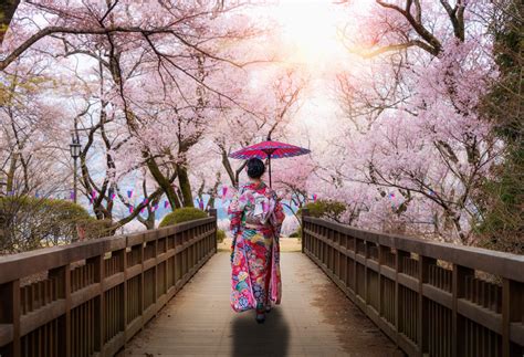 Best Things To See In Japan Top 10 Places In Japan Atmjt