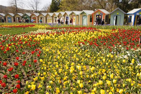 Discover Australia In Its Full Glory This Spring