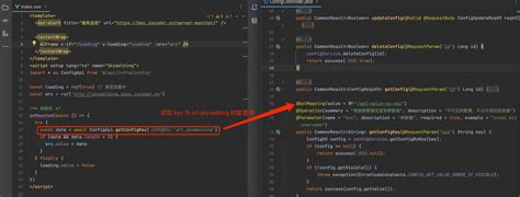 配置读取 Ruoyi Vue Pro 开发指南