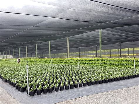 Log And Cable Structures Envirotec