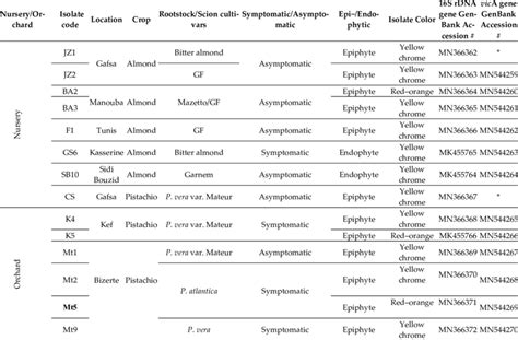 Rhodococcus Spp Isolates From Pistachio And Almond Plants Grown In A