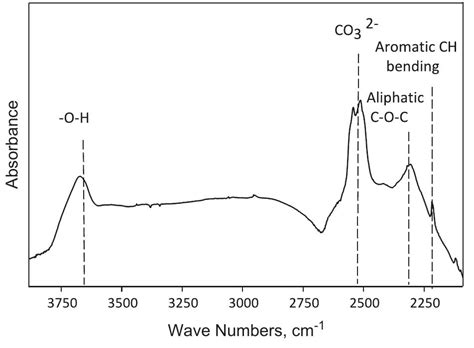Fourier Transform Infrared Spectrum Of The Burcucumber