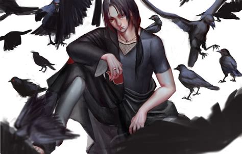 🔥 20 Itachi Birds Wallpapers Wallpapersafari