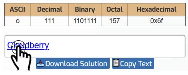 Binary To Ascii Converter