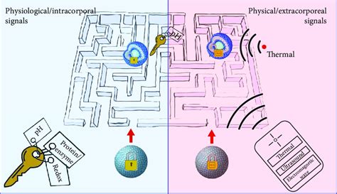 Scheme Diagram Of Intelligent Lipid Based Nanoparticle Physical