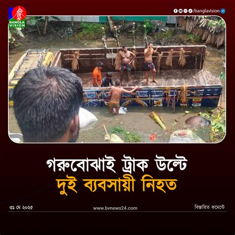 Banglavision রাজবাড়ীতে গরুবোঝাই ট্রাক উল্টে দুইজন গরু ব্যবসায়ী ঘটনাস্থলেই নিহত হয়েছেন