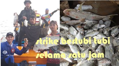Strike Bertubi Tubi Selama 1 Jam Ogyalvesfishing YouTube