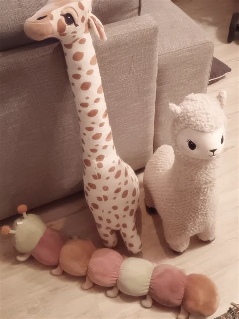 Mo Mjamba Momjamba • Instagram Photos And Videos