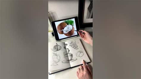 Как нарисовать кокос простым карандашом Эллен Арт Youtube