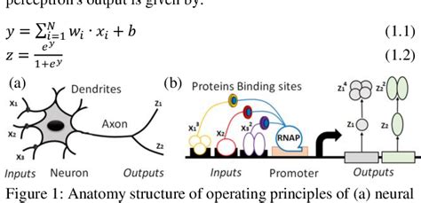 Figure 1 From Biophysical Analysis For Implementing Neuro Inspired Computing In Living Cells