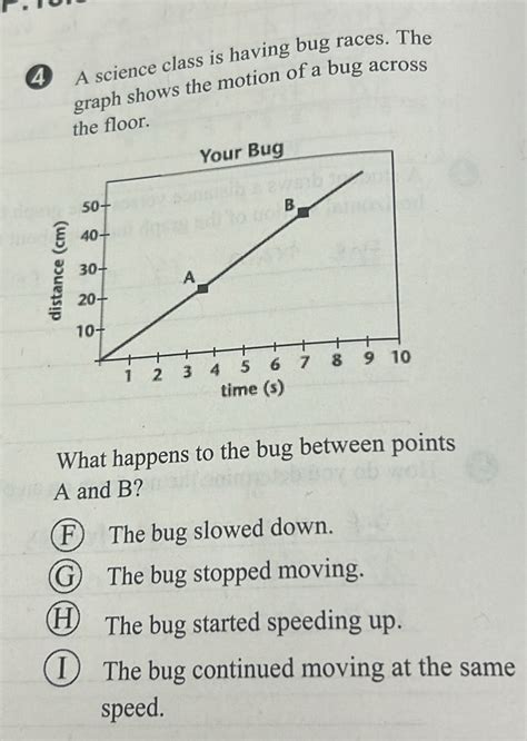 Solved 4 A Science Class Is Having Bug Races The Graph Shows The
