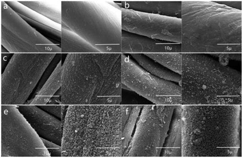 The Sem Images With Rgo Sp Composites Modified Cf A F Were As