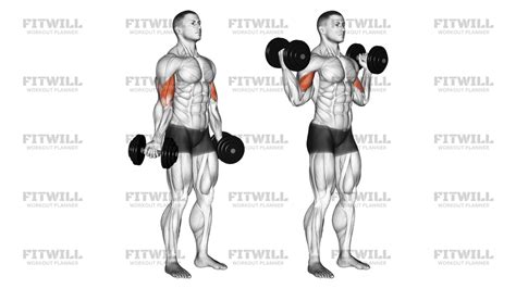Dumbbell Standing Inner Biceps Curl Exercise Guide Video Techniques Benefits How To
