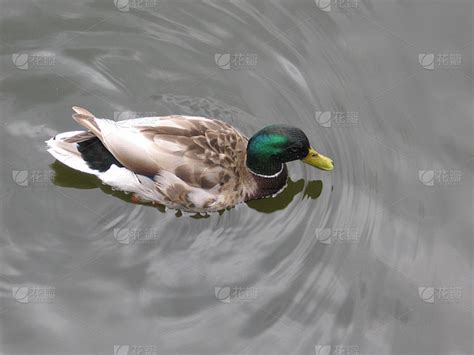 记笔记吗