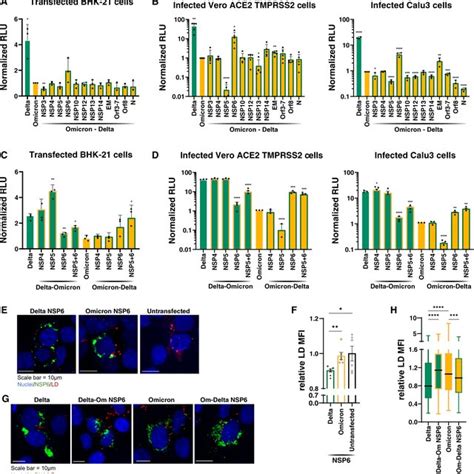 Omicron Mutations In Spike And Orf1ab Reduce Viral Particle Production