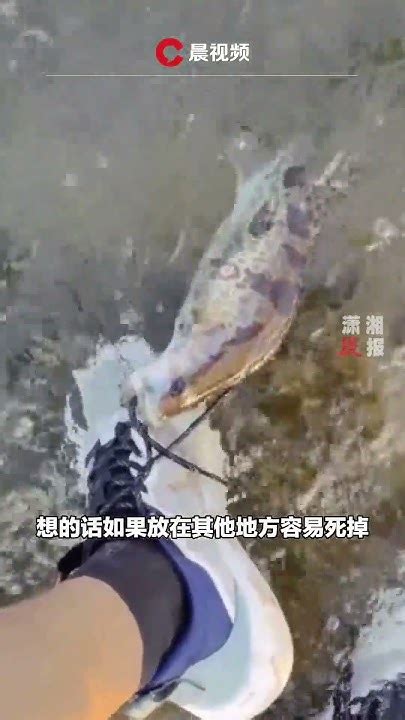 釣魚沒帶活魚扣、桶子？ 男子告訴大家如何就地取材 瀟湘晨報 新聞 中國社會新聞 Youtube