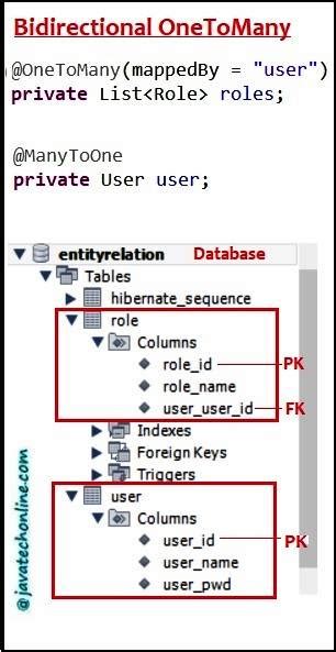 Entity Relationship In JPA Hibernate ORM JavaTechOnline