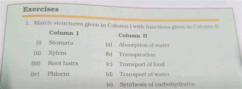 Exercises 1 Match Structures Given In Column I With Functions Given In C