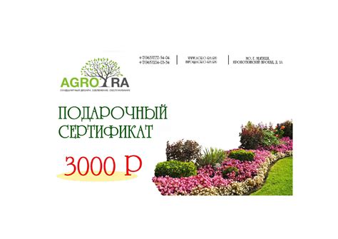 Сертификат 3000 Р