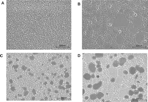 A Microstructure Of 0a Sintered At 1250 C Sem Image B Download