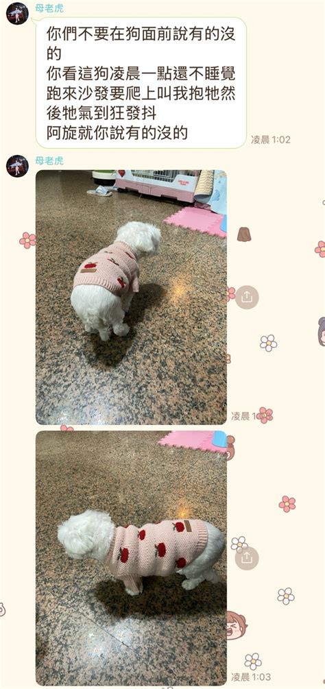 前天回我媽家，隨口說了一句 我：咕幾要不要跟我回龍岡 我媽當下就說妳不要亂講😡 結果半夜1點咕幾就不睡覺而且很生氣 早上看到訊息差點沒昏倒🫠