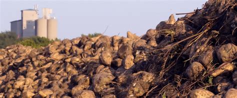 Droplet Separation In The Food And Beverage Industry Lechler