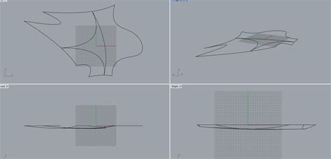 Surface From A Non Planar Closed Curve With Guide Curves Inside Rhino