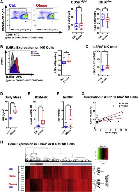Il 6stat3 Dependent Induction Of A Distinct Obesity Associated Nk