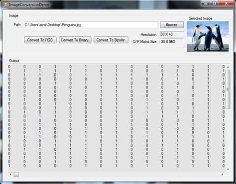 Screen Showing How To Convert An Image Into A Binary Matrix Download Scientific Diagram