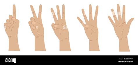 Hands Count From One To Five Gestures Of Hands Counting Fingers Vector Illustration Stock