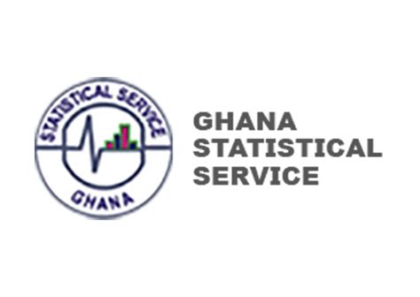 Gss Engages Stakeholders On Ibes 1 Survey Dailyguide Network