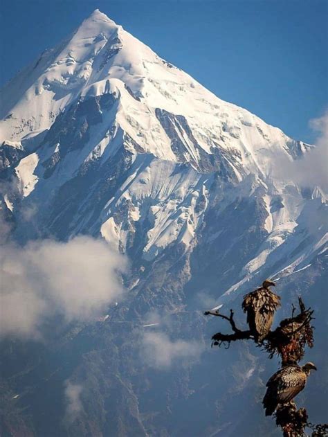 Places To Explore In Munsiyari With Friends! - People Places | Scenery ...