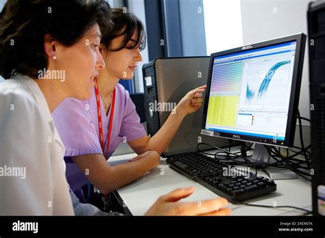 Quantitative Pcr Data Discussion Genomics Unit Dna And Rna