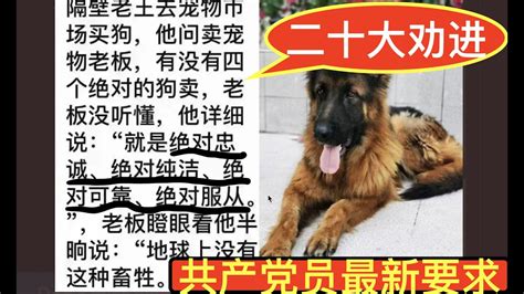 629 忆王炳章被越境绑架20周年！劝进习近平，二十大称帝，与民约法，还政于民。官员比赛效忠，进入最后冲刺。 Youtube