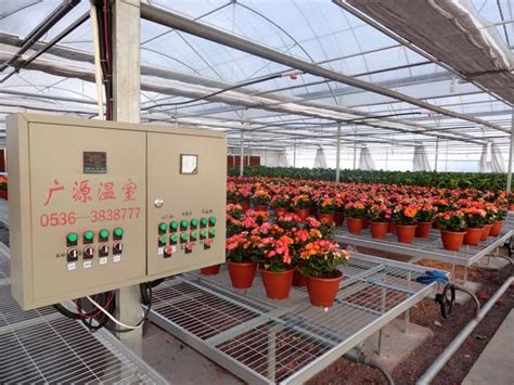 花卉生產溫室中流砥柱之雙層薄膜連棟溫室溫室設計建造流程 每日頭條