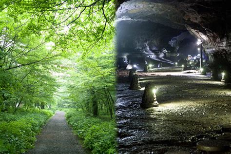 비 오는 날 더 아름답다 비 올 때 꼭 가봐야 하는 제주도의 5가지 관광명소