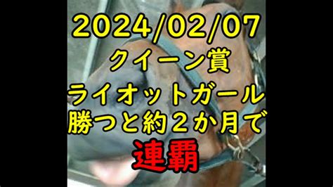【競馬】約2か月で連覇？ライオットガール 20240207クイーン賞 Youtube