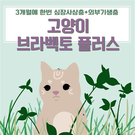 고양이 브라벡토 출시 3개월에 한번 심장 사상충외부기생충 네이버 블로그