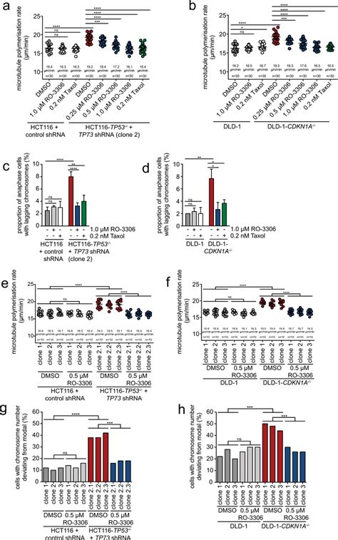 Inhibition Of Cdk1 Suppresses Abnormal Microtubule Polymerization Rates Download Scientific