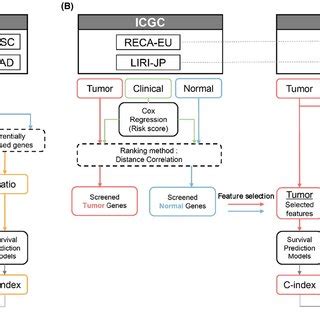 Workflow Of The Study A The Prognostic Relevance Of Transcriptomic Download Scientific