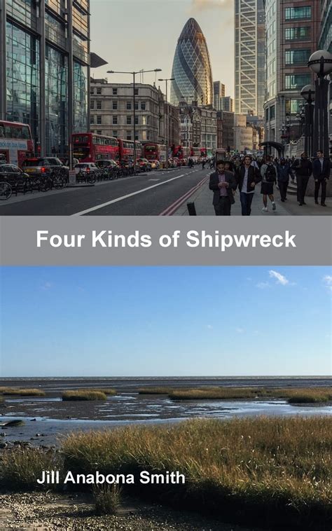 Four Kinds Of Shipwreck Smith Jill Anabona Amazon Co Uk Books