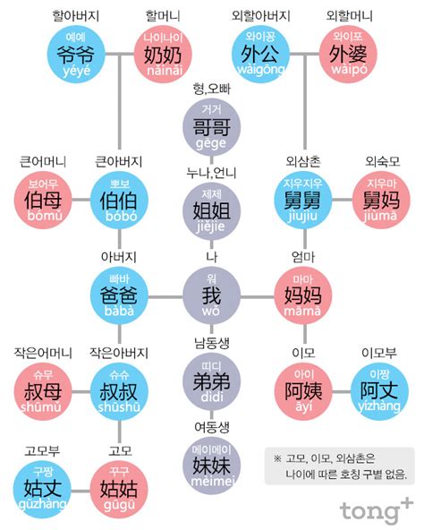 할아버지부터 이모부까지~ 중국어 가족 호칭 디지틀조선일보 디조닷컴