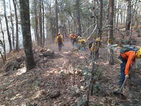 Brigadistas Combaten Doble Incendio Forestal En Zacatlán Crónica Puebla