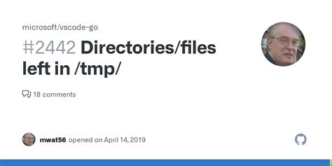 Directoriesfiles Left In Tmp · Issue 2442 · Microsoftvscode Go