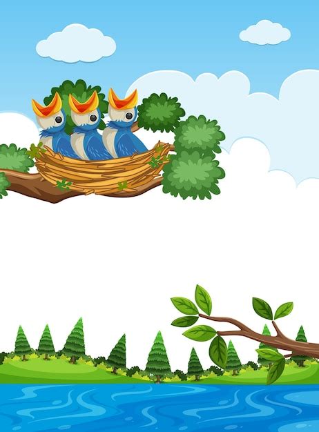 Premium Vector Chicks In Nest On Tree Branch