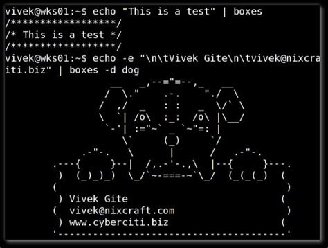 Display Hollow Rectangle And Square Star Pattern In C Artofit