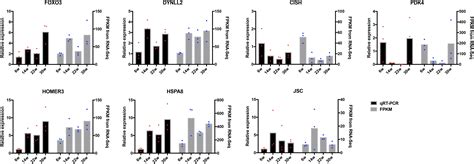Frontiers Analyses Of Microrna And Mrna Expression Profiles Reveal